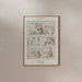 Albrecht Durer Six Studies of Pillows Print Laundry Decor - Etsy