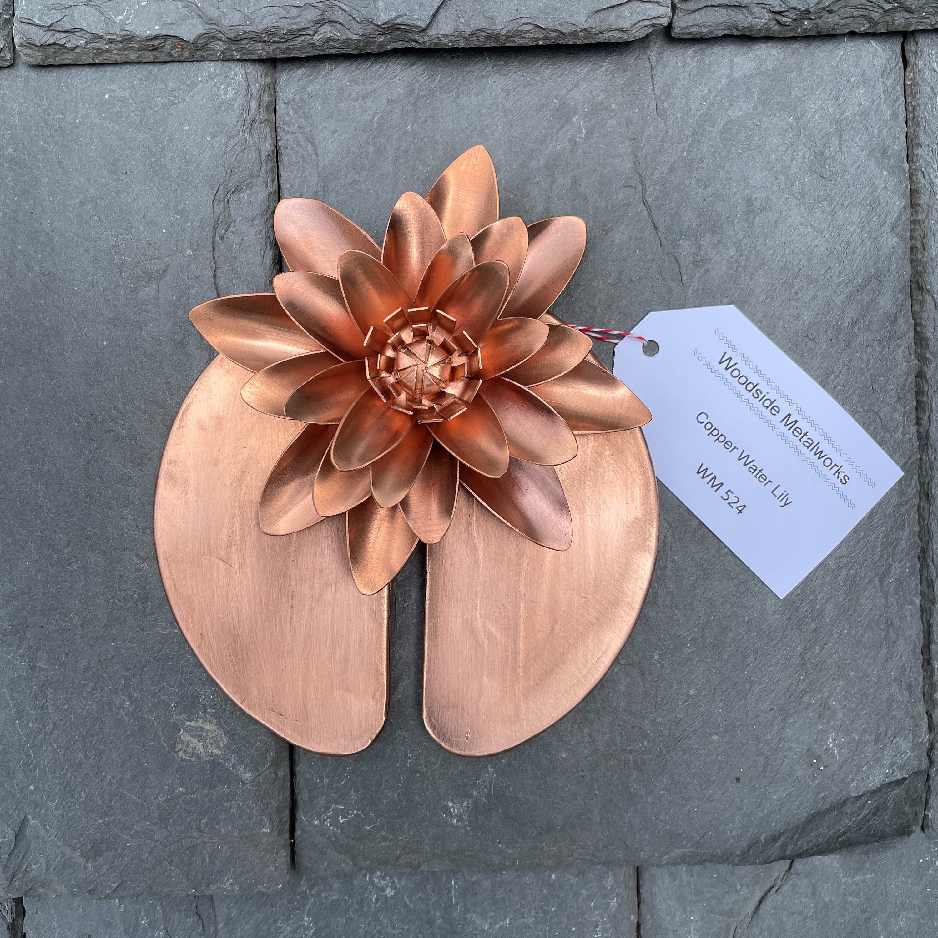 Copper Lotus Flower on a Leaf, Everlasting Water Lily, Garden Pond Lily ...