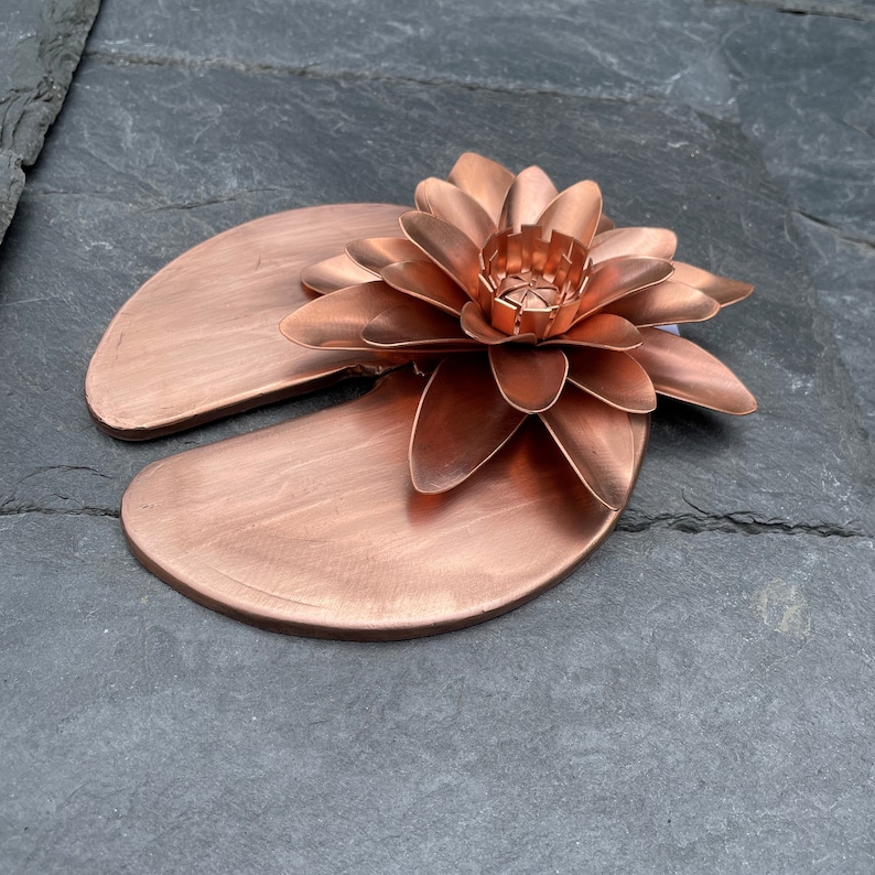 Copper Lotus Flower on a Leaf, Everlasting Water Lily, Garden Pond Lily ...