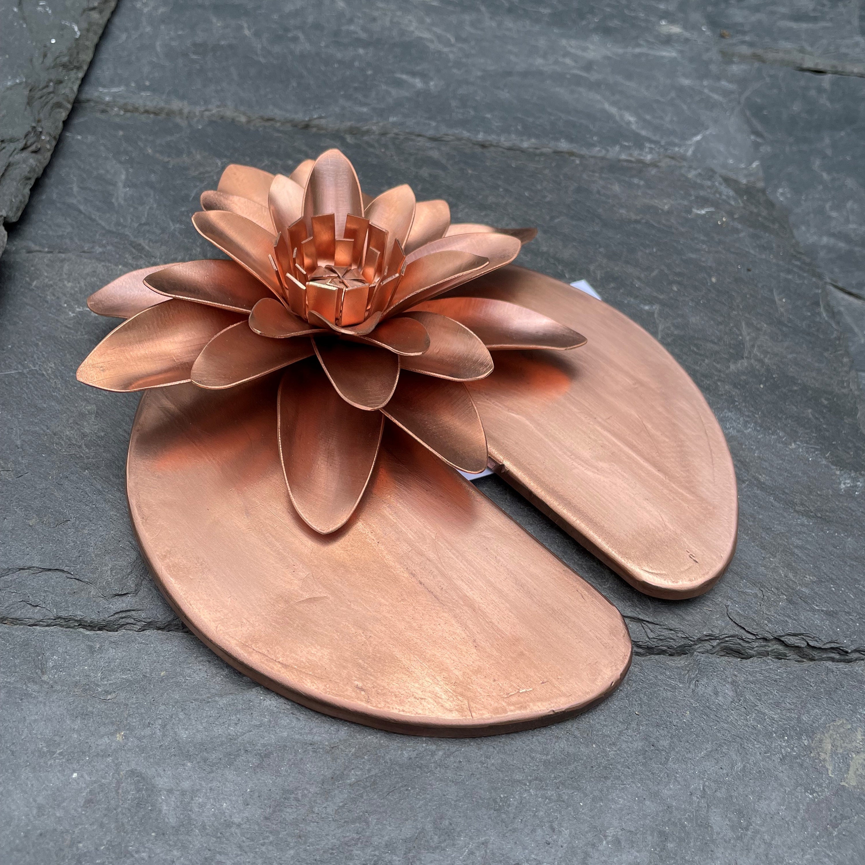 Copper Lotus Flower on a Leaf, Everlasting Water Lily, Garden Pond Lily ...