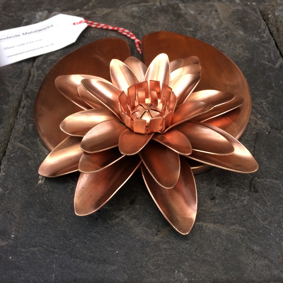 Copper Lotus Flower on a Leaf, Everlasting Water Lily, Garden Pond Lily ...