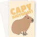 Capy Birthday A5 Greeting Card Birthday Capybara Funny Cute Love You ...