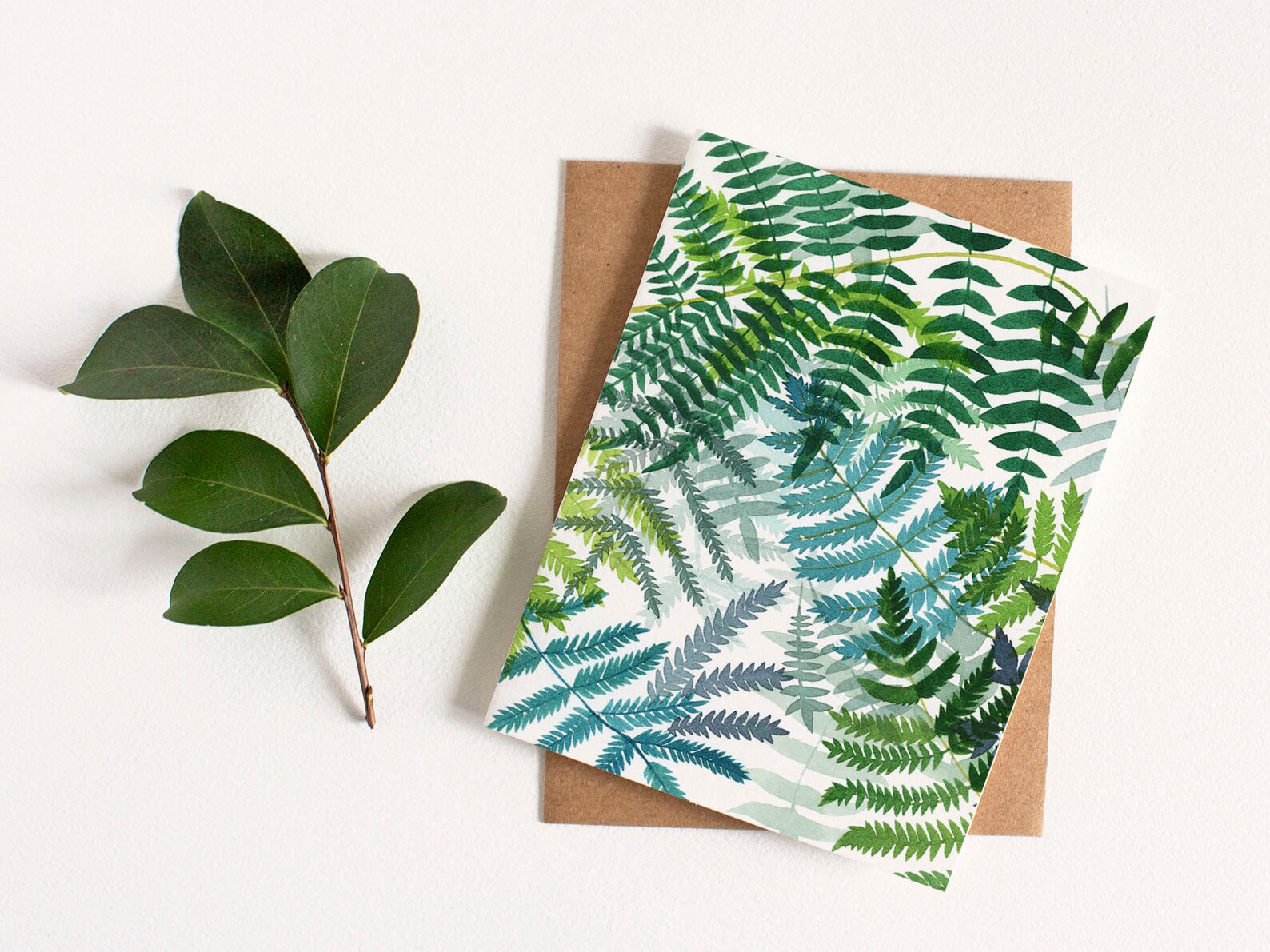 Ferns Greeting Card Watercolor Fern Botanical Artwork Everyday Greeting ...