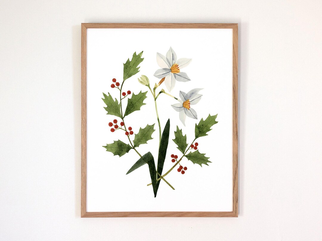 December Birth Flower Print | Watercolor Paperwhite + Holly | Framed or ...