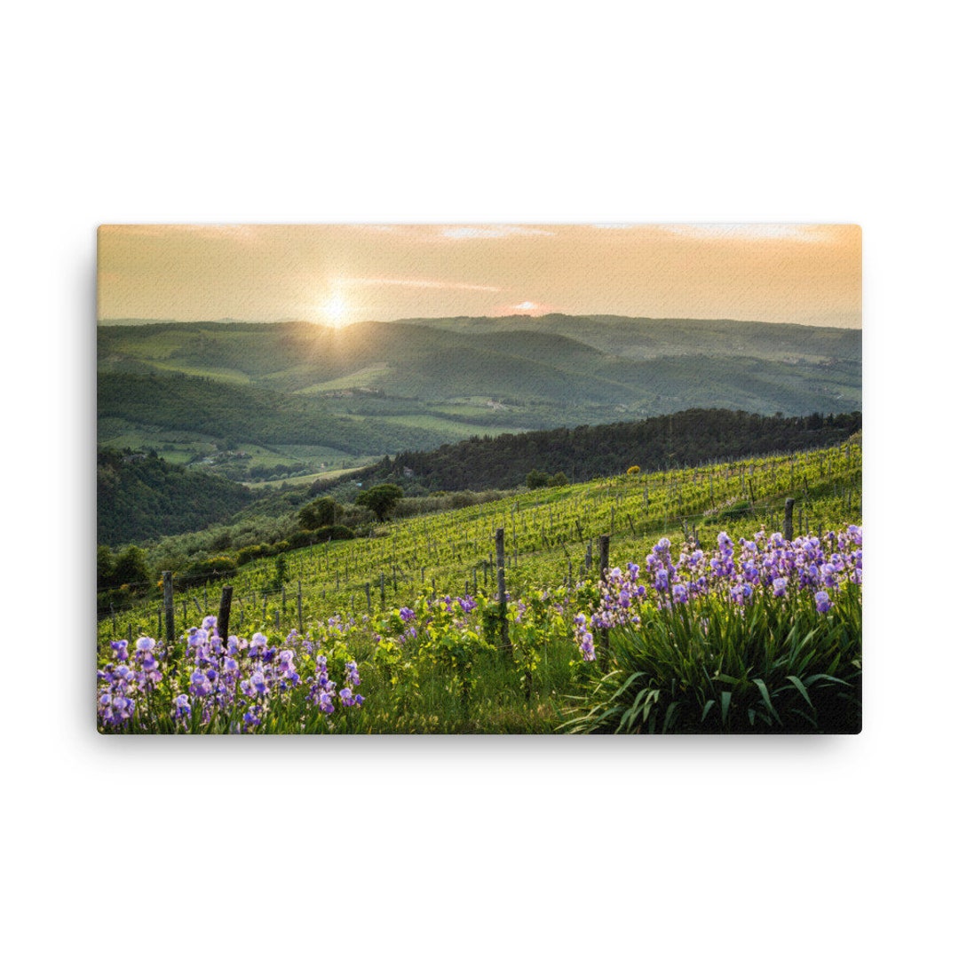 Tuscany Vineyard Print, Italy Wall Art, Peaceful Landscape Photo ...