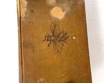 Antique Science Book - Etsy