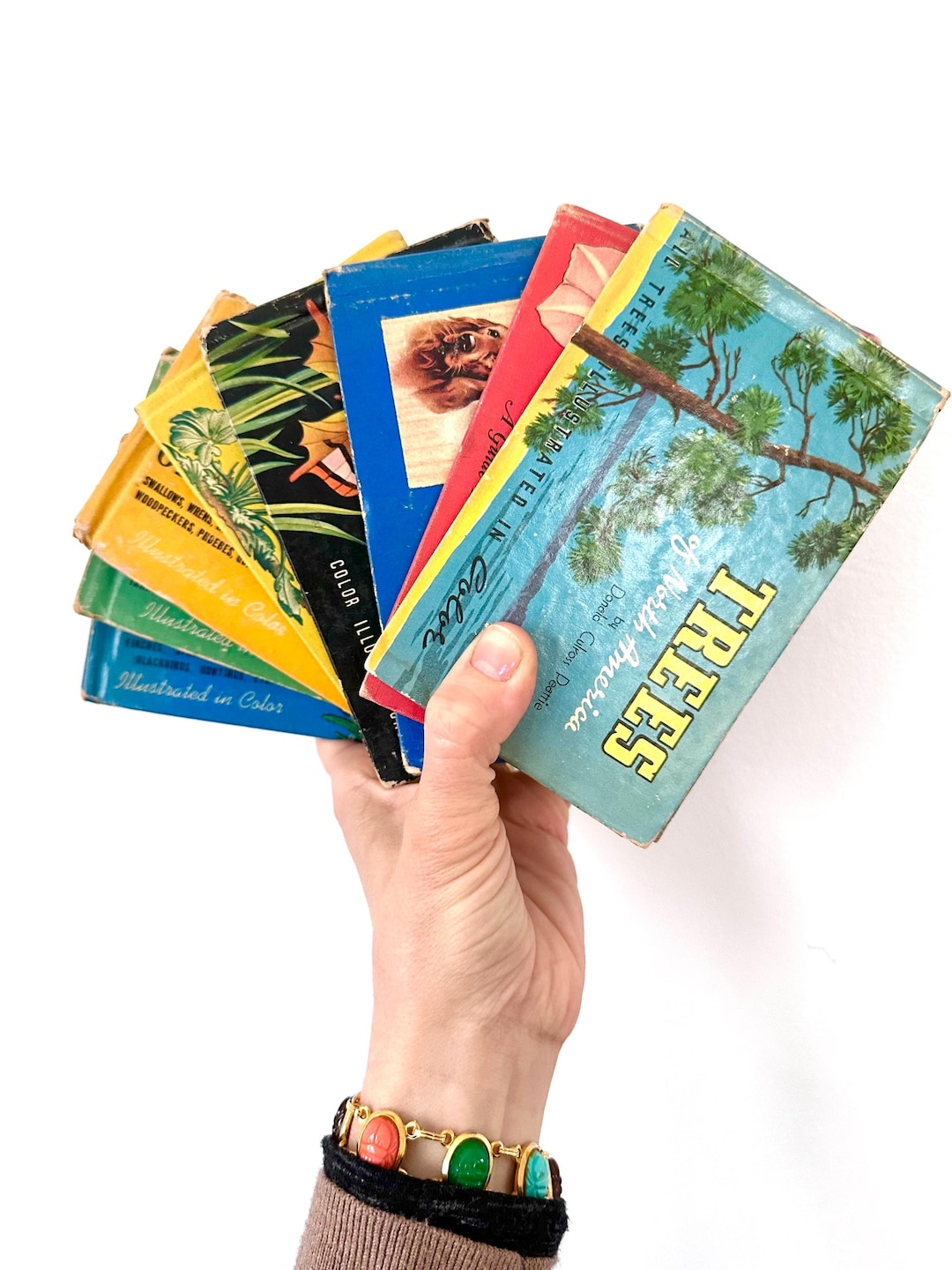 Set of Vintage Nature Reference Books - Etsy
