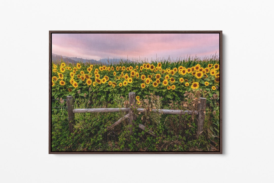 Rustic Sunflower Field Farmhouse Wall Art | Natural Beauty Wall Art ...
