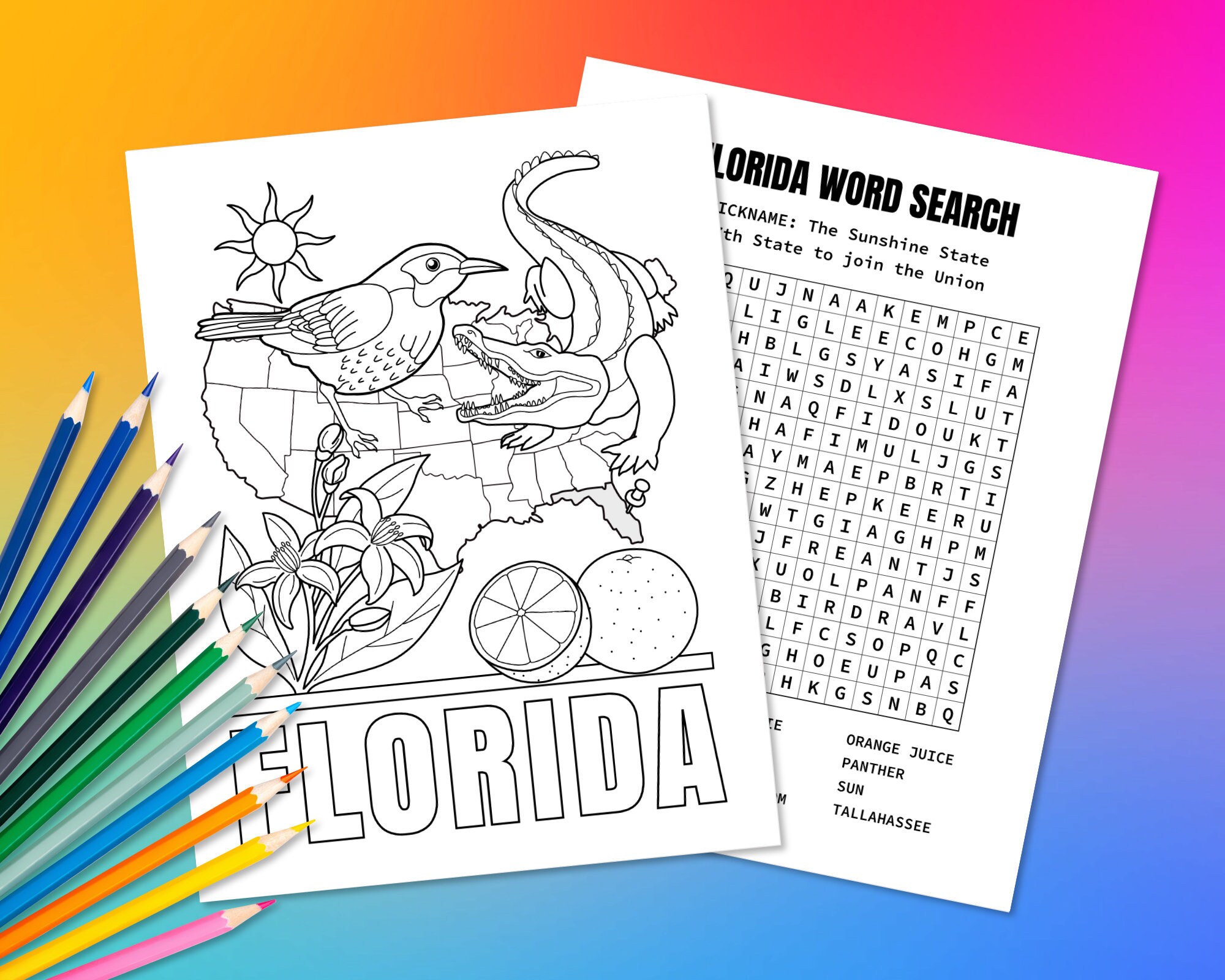 State of Florida USA Coloring Page & Word Search Puzzle Fun Geography ...