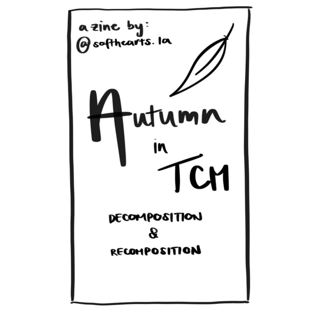 Autumn in TCM a Digital Zine | Fall Wellness, Holistic Healing, Self ...