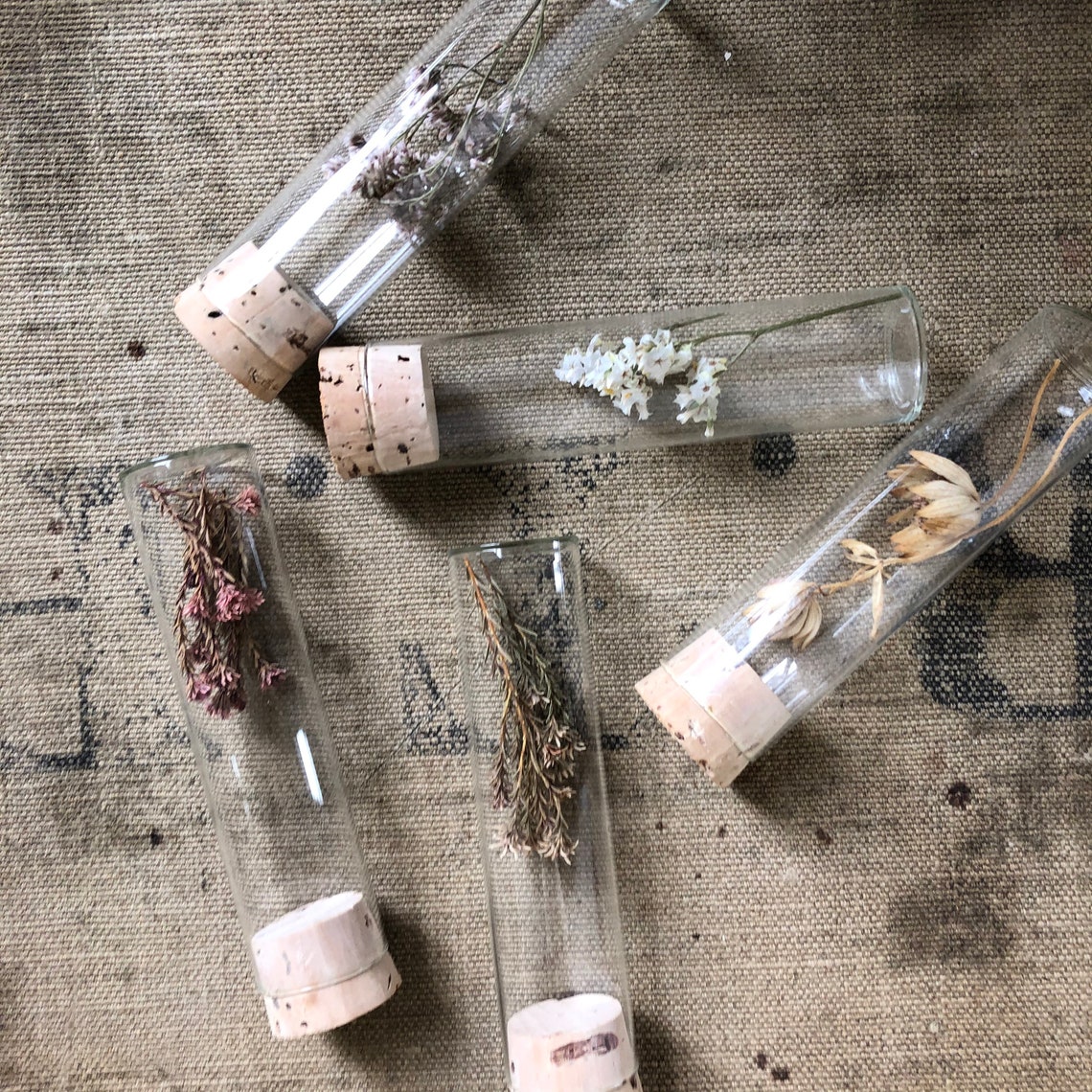 Collection of dried flower specimens in vintage test tubes | Etsy
