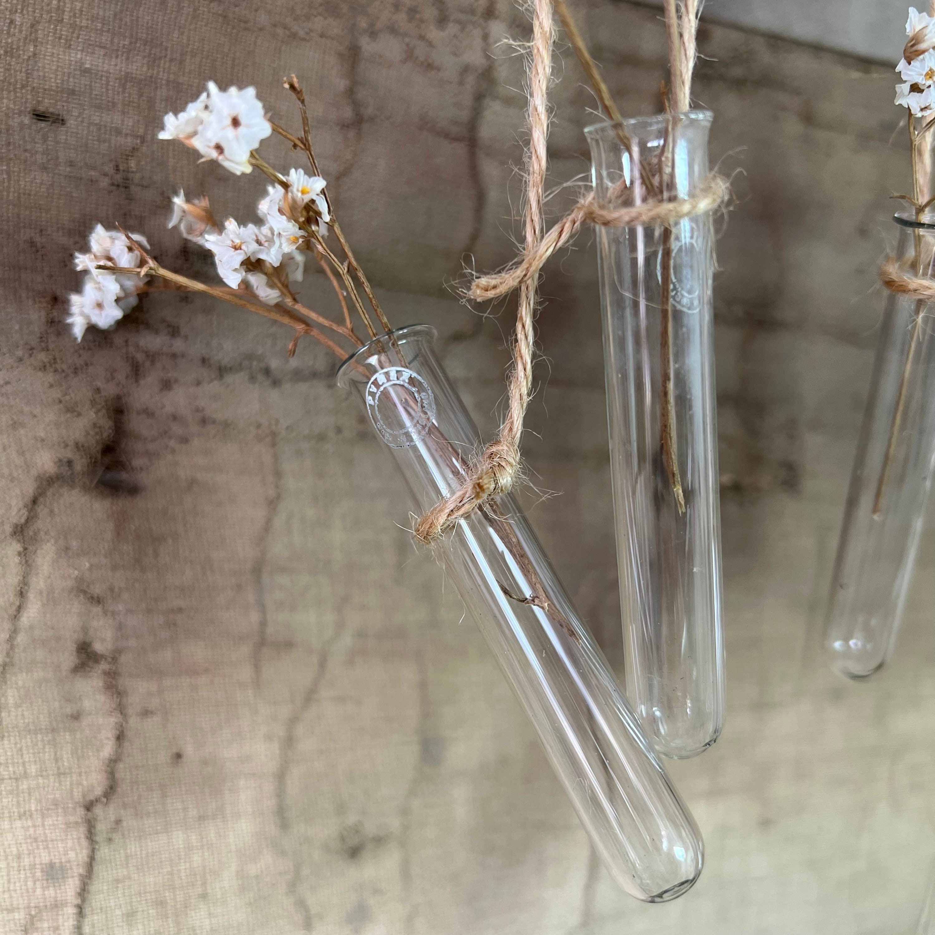 Set of Five Small Glass Pyrex Test Tubes Propagating Tubes - Etsy