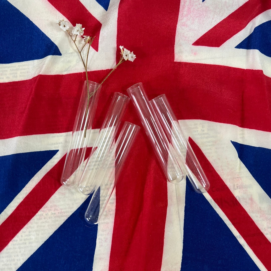 Set of Five Small Glass Test Tubes, Propagating Tubes, Vases - Etsy