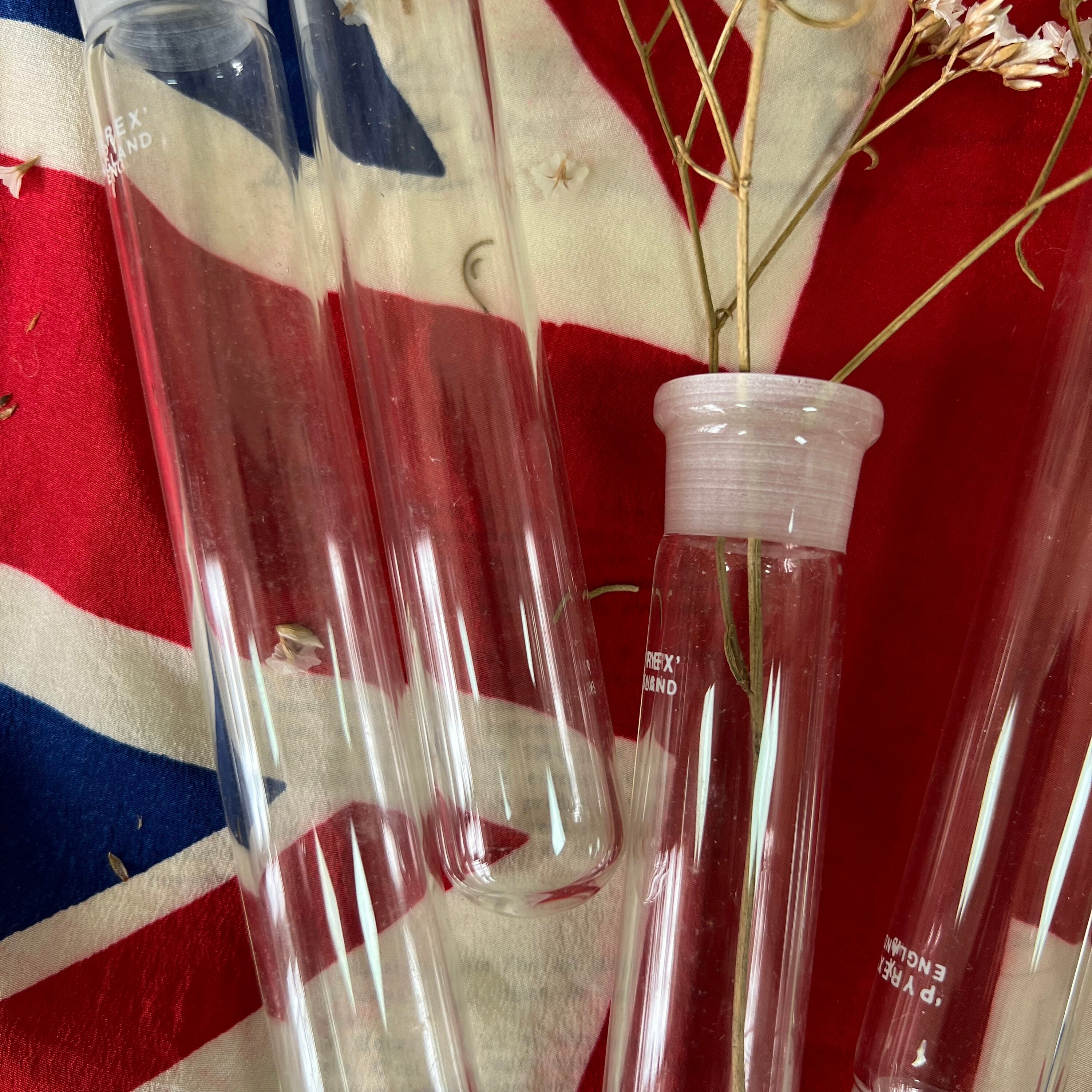 Set of Five Large Glass Pyrex Test Tubes Propagating Tubes - Etsy