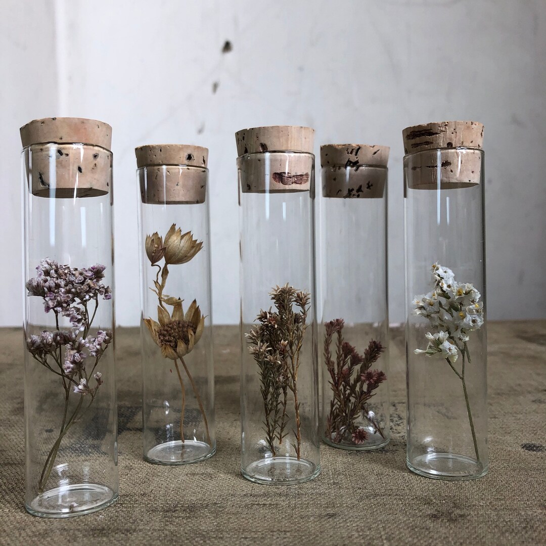 Collection of Dried Flower Specimens in Vintage Test Tubes - Etsy