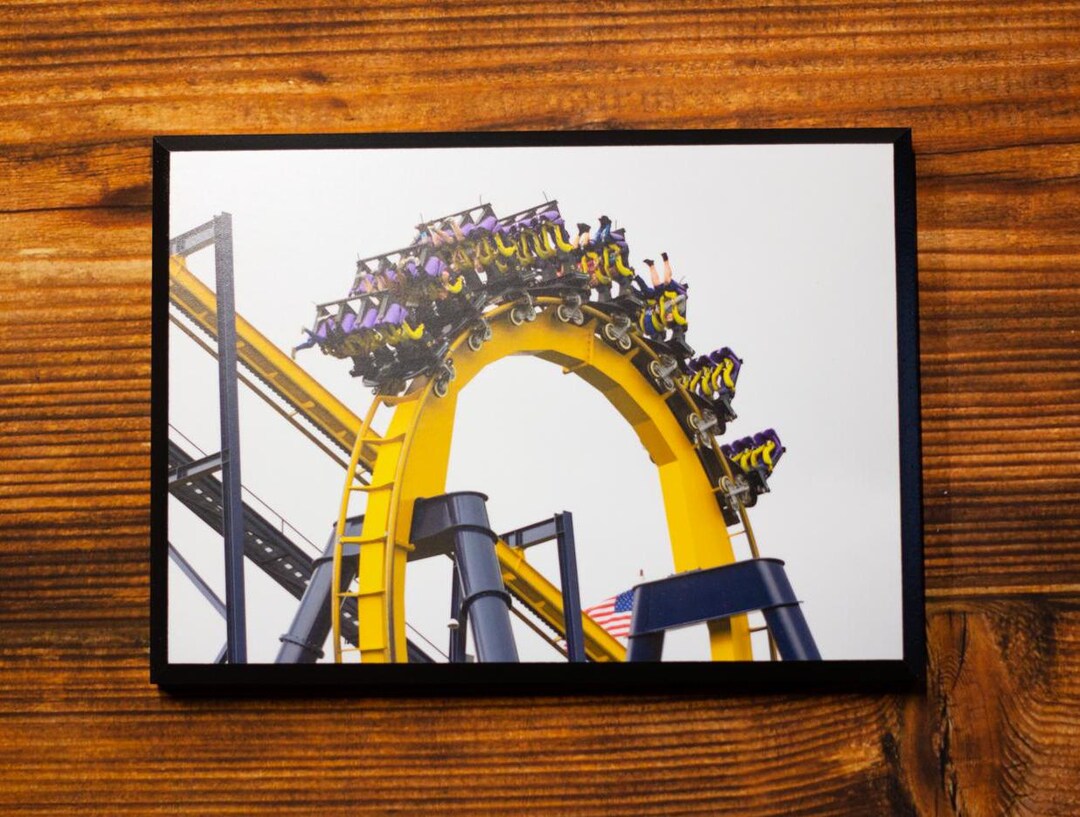 Batman: the Ride Roller Coaster Gallery Mount - Etsy
