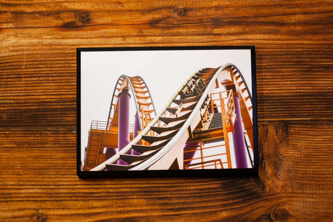 Raging Bull Roller Coaster Gallery Mount - Etsy