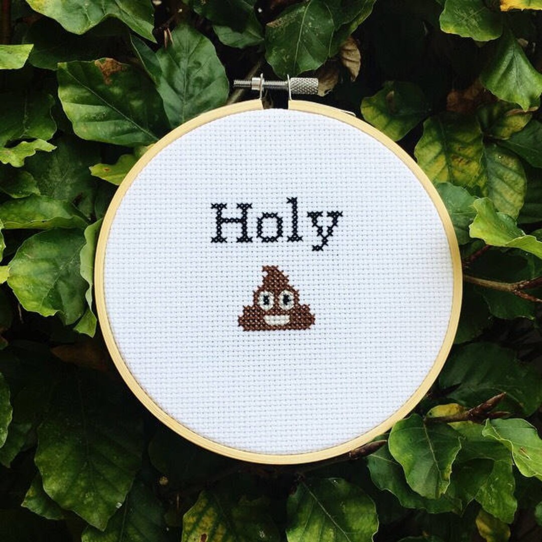 Holy Crap! - Cross Stitch Art. Subversive Cross Stitch | Gift | Family ...