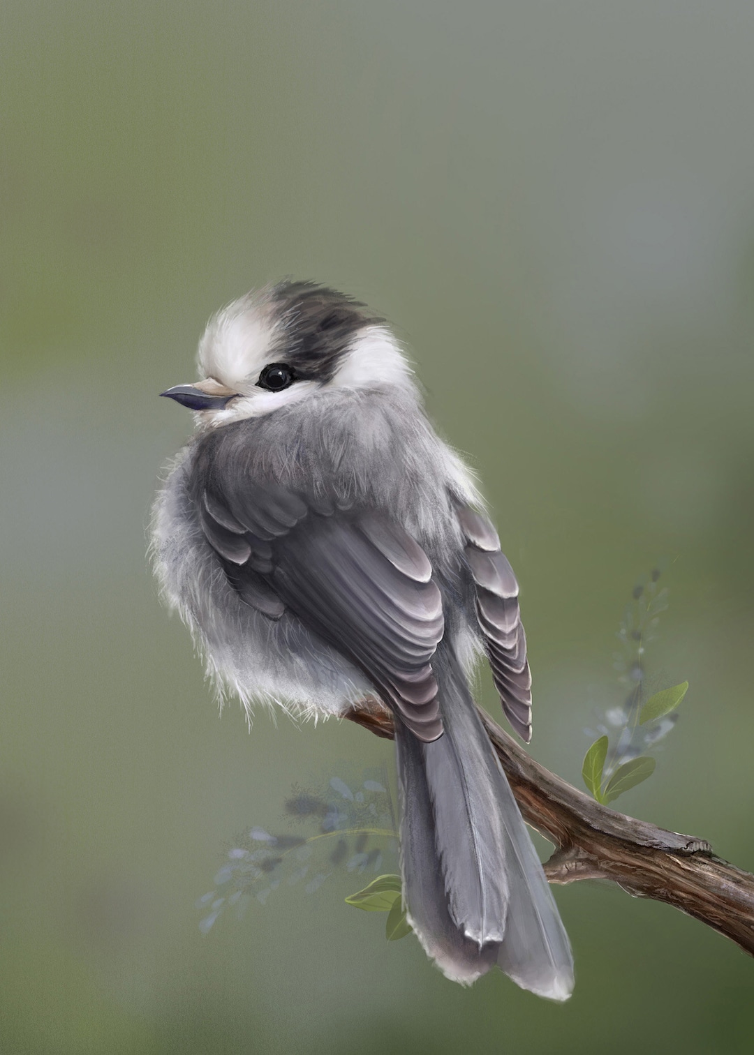 Cute Fluffy Bird Print - Etsy