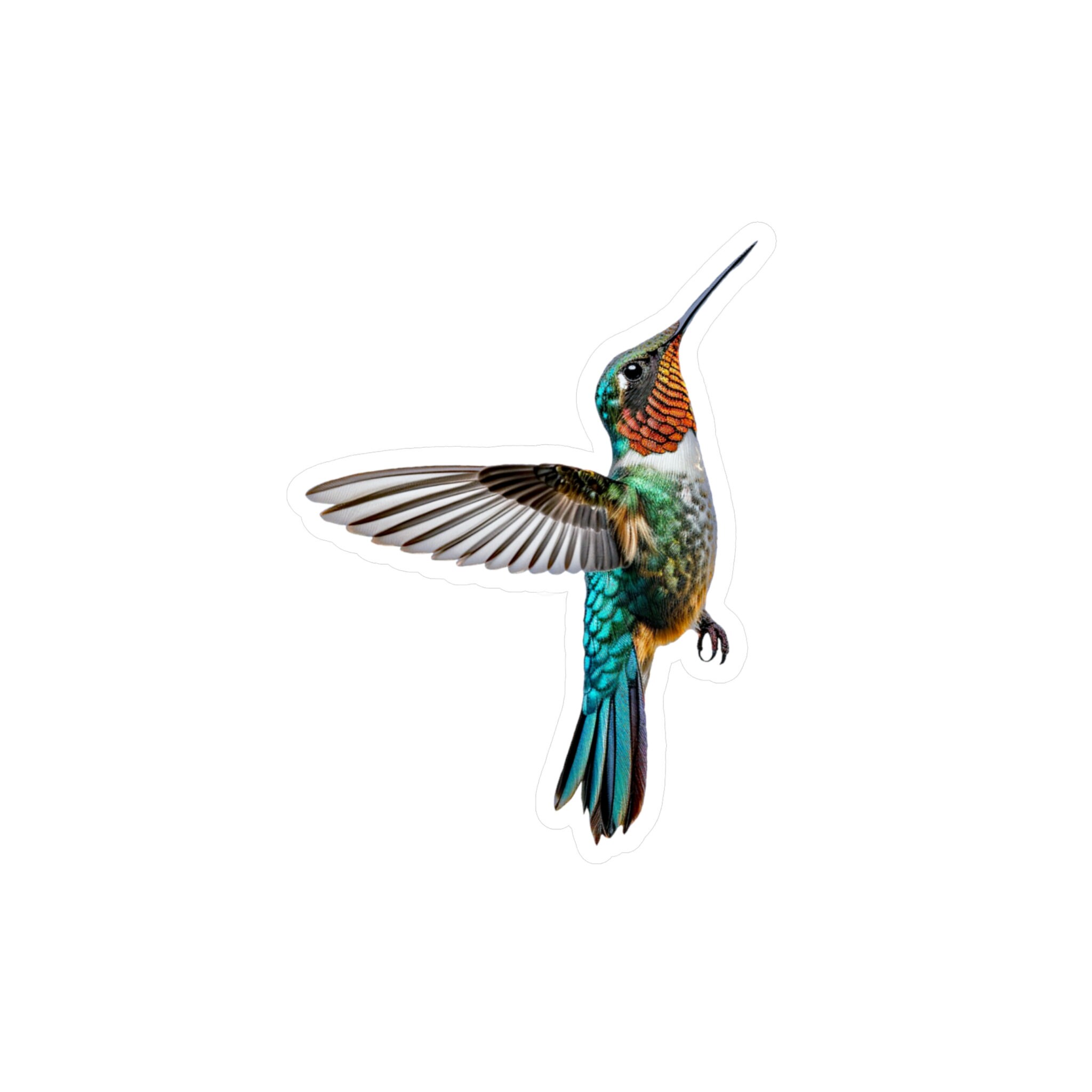 Hummingbird Vinyl Decals - Etsy