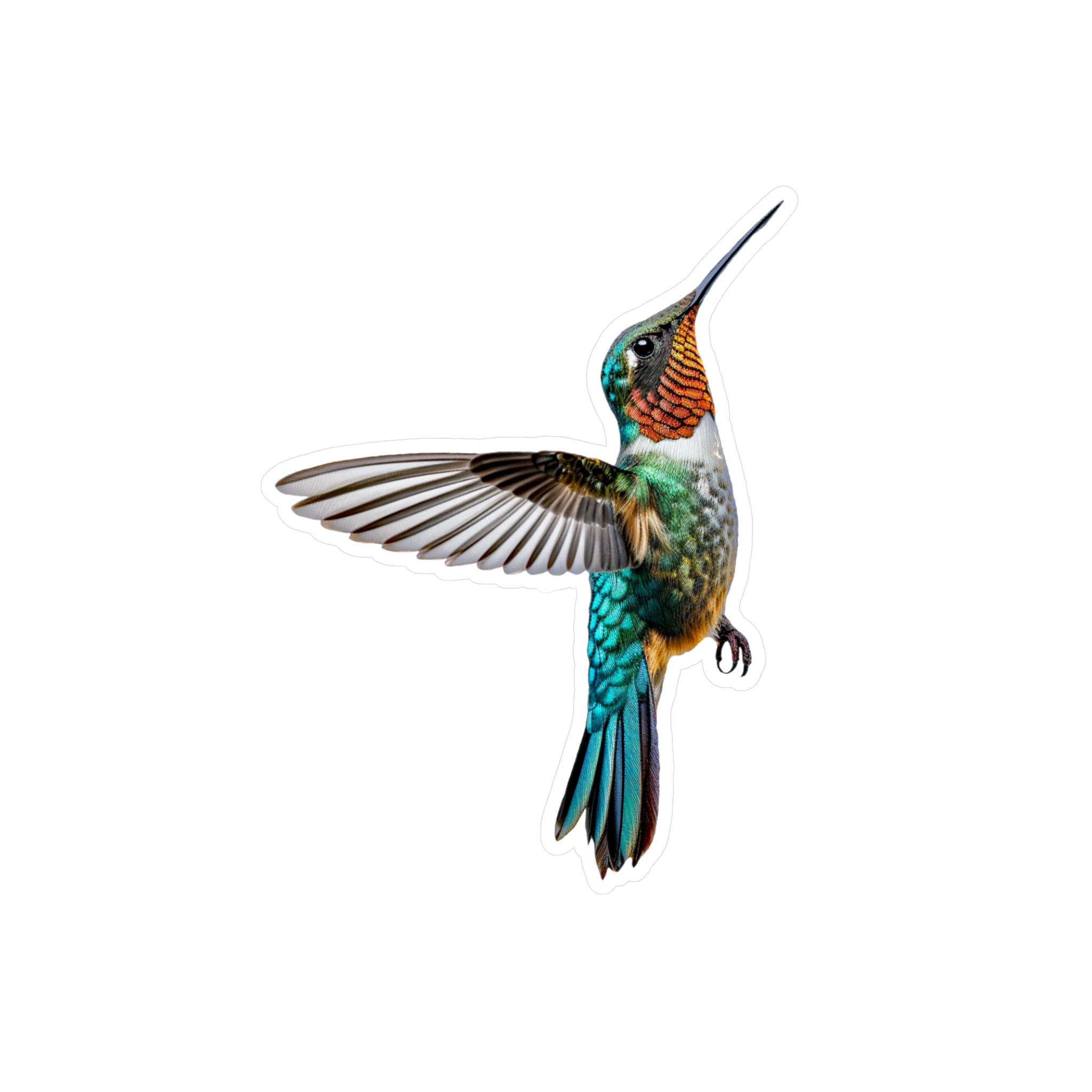 Hummingbird Vinyl Decals - Etsy
