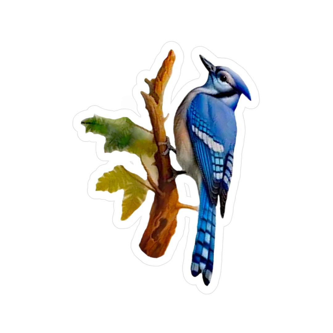 Blue Jay Bird Sticker Outdoor Kiss-cut Vinyl Decals - Etsy