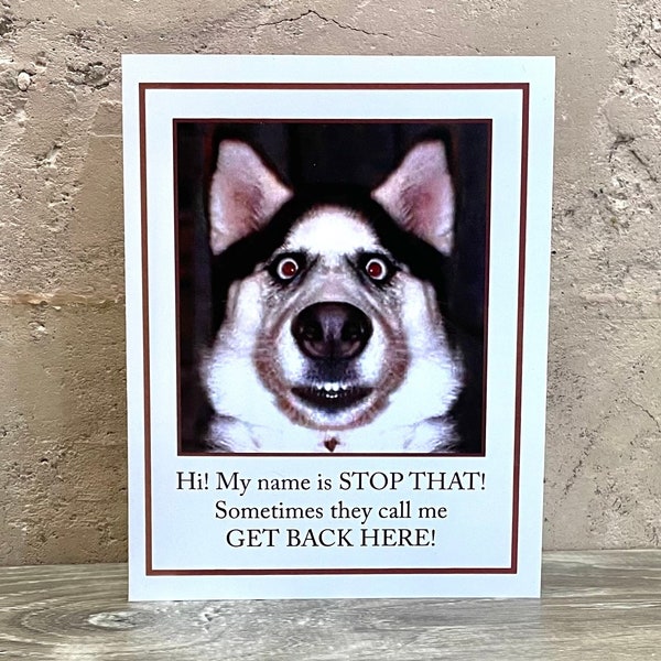 Dog Cards - Etsy