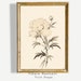 French Blue Wall Art, Drawing, Floral, French Toile, Botanical, Birds ...