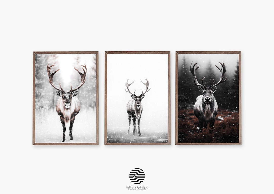 Set of 3 Reindeer Wall Art Print, Animal Photography, Wall Art, Nordic ...