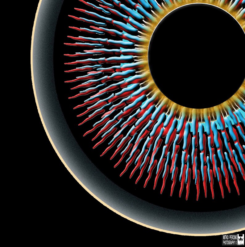 Shine on You Crazy Diamond.psychedelic Wall Art digital - Etsy