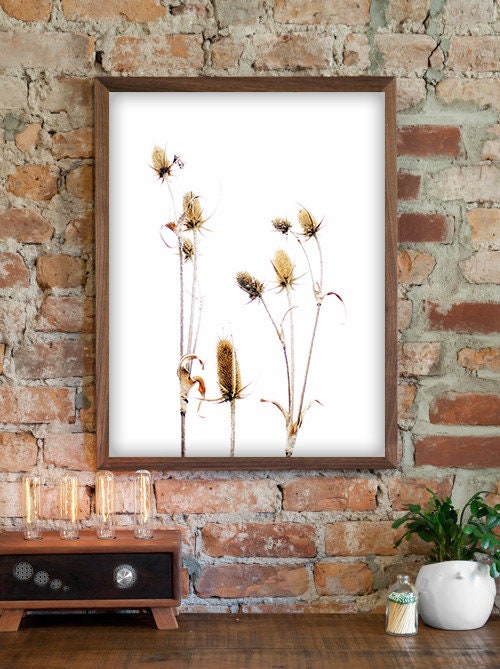 Floral PrintBotanical PrintWildflower PrintsHerb Wall | Etsy
