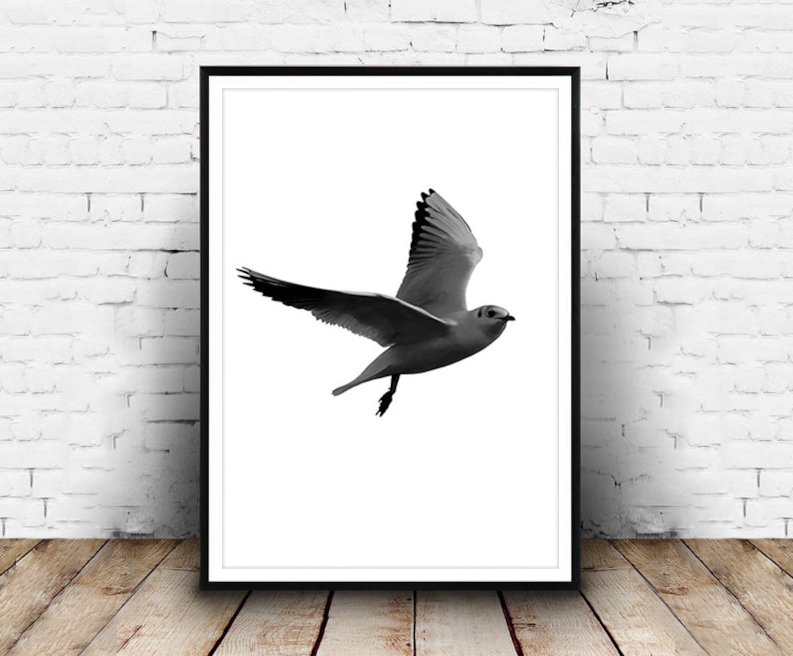 Bird Print Set of 2bird Prints Wall Set Photography Prints - Etsy