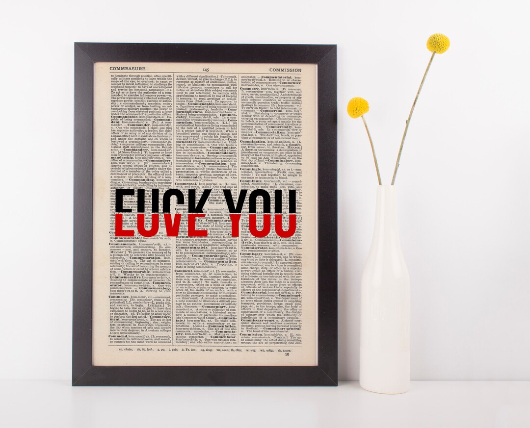 F*ck You, Love You Dictionary Art Print, Rude Offensive Funny ...