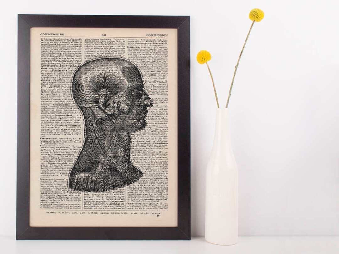 Anatomical Side Muscle Dissection Dictionary Art Print,medical Anatomy ...