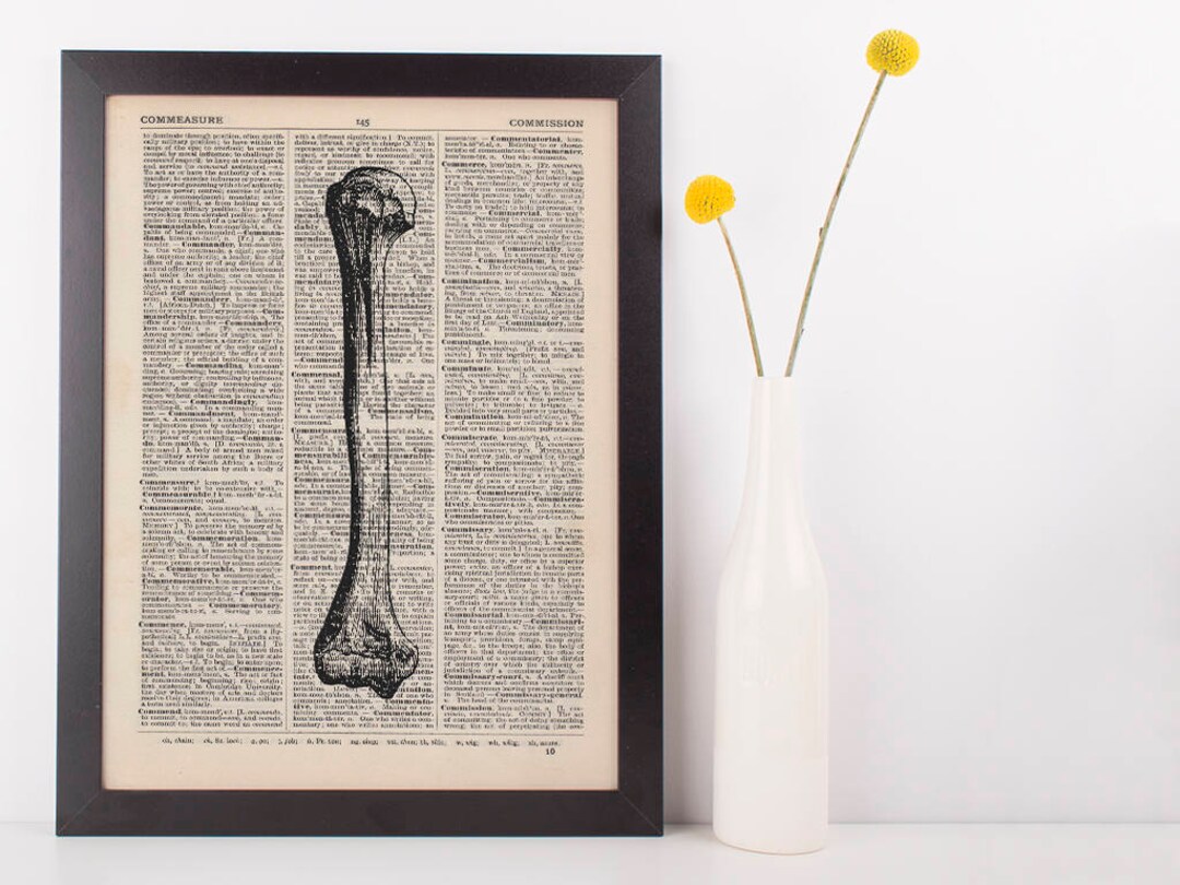 Anatomical Femur Leg Bone Dictionary Art Print, Medical Anatomy Vintage ...