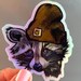 Raccoon Sticker Holographic and Fun for Water Bottles - Etsy