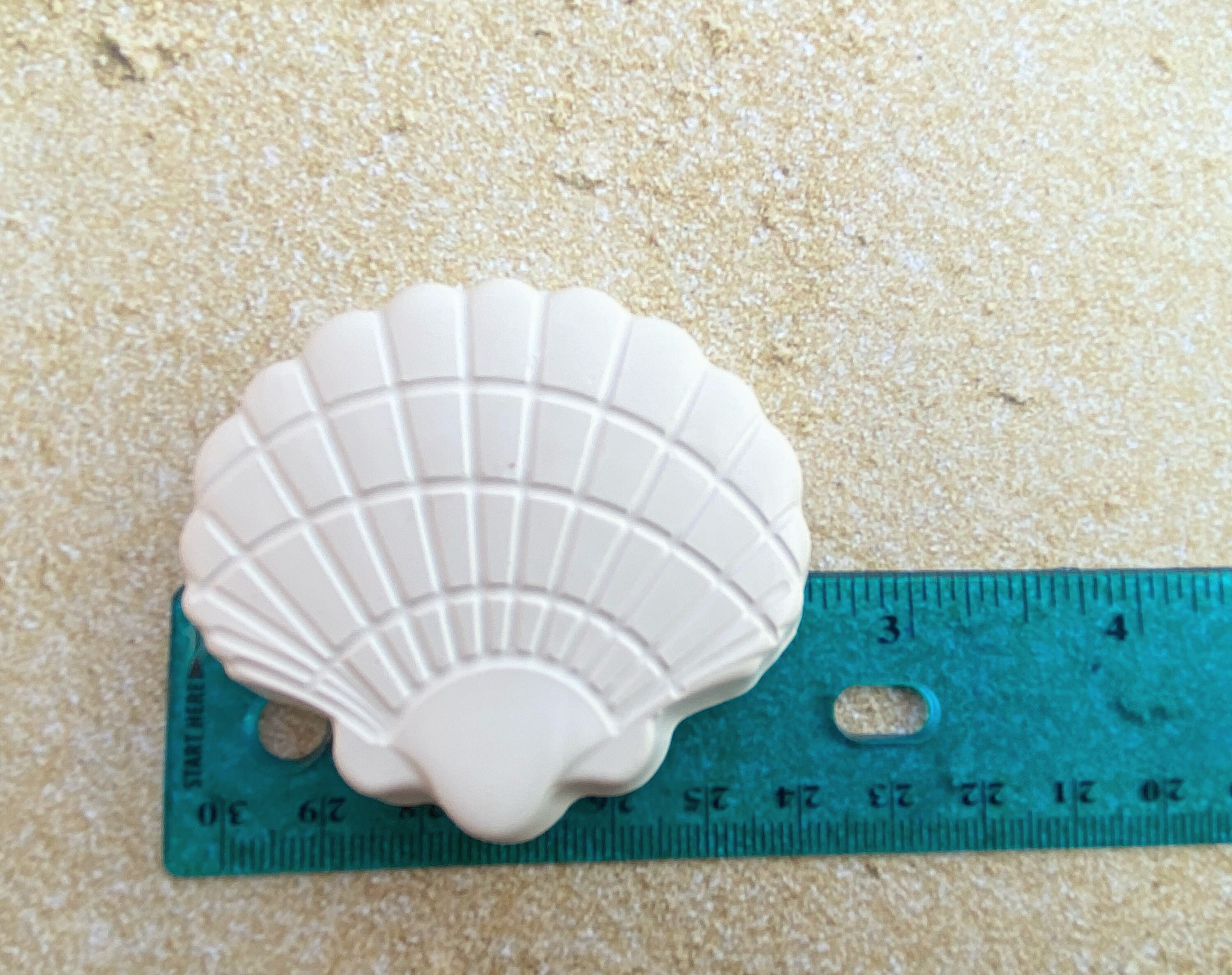 Paint Your Own Sea Shells Magnet Set Adult Craft Kit Teen - Etsy