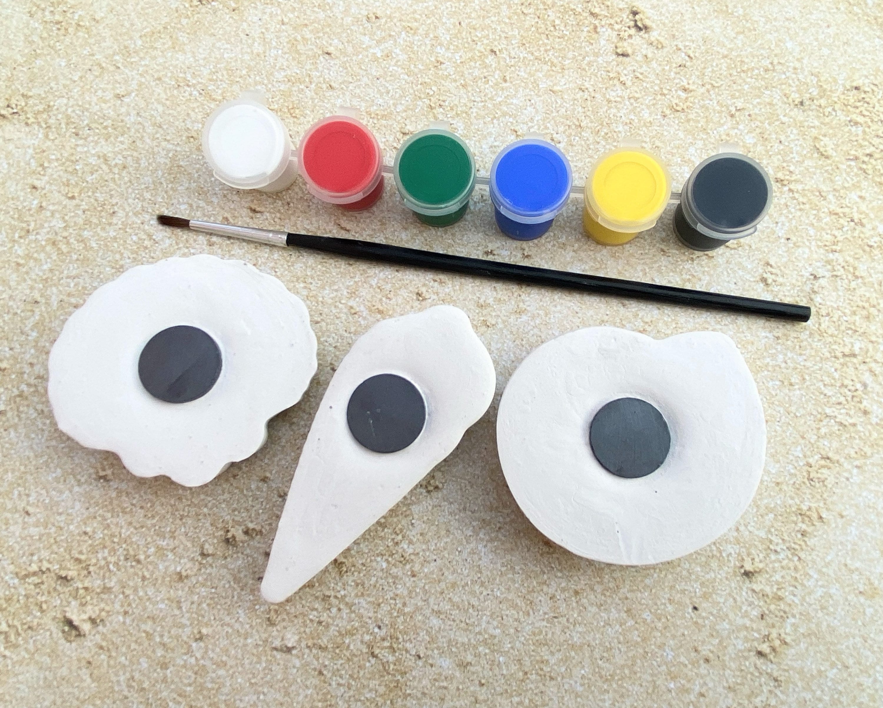 Paint Your Own Sea Shells Magnet Set Adult Craft Kit Teen - Etsy