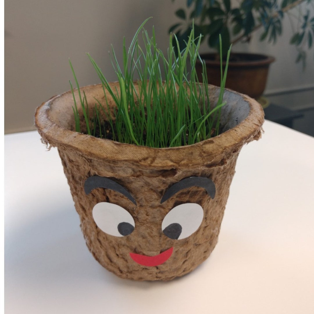 Watch Me Grow Plant Pal - Craft Kits for Kids - Etsy