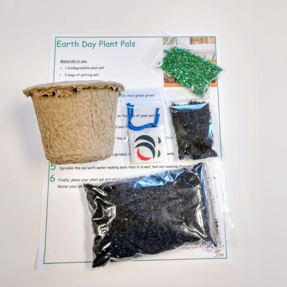 Watch Me Grow Plant Pal Craft Kits for Kids - Etsy