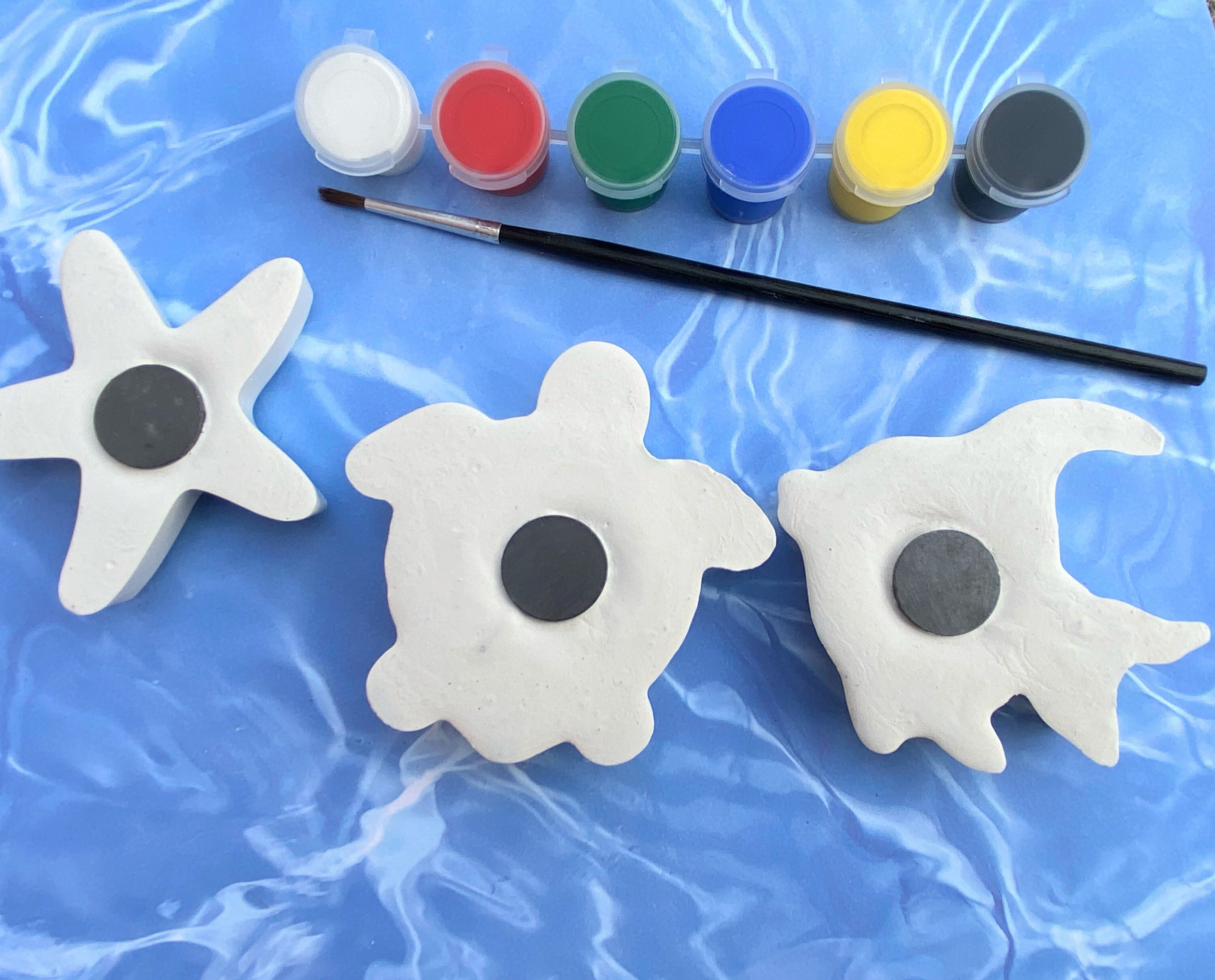 Paint Your Own Sea Turtle, Star Fish and Angel Fish Magnets - Marine ...