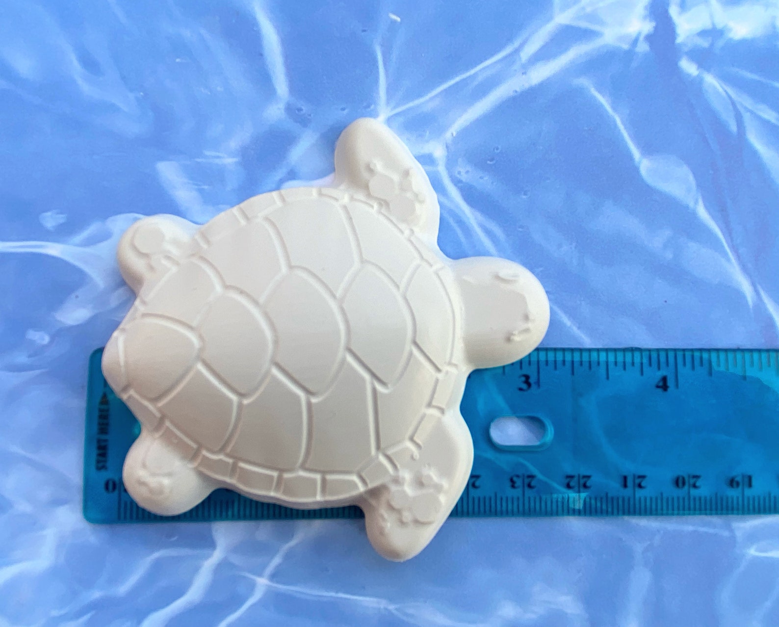 Paint Your Own Sea Turtle, Star Fish and Angel Fish Magnets - Marine ...
