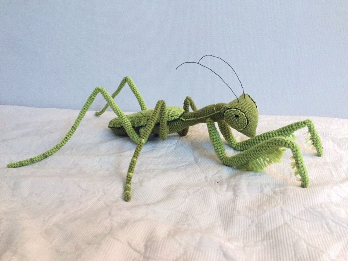 Praying Mantis Crochet Pattern - Etsy