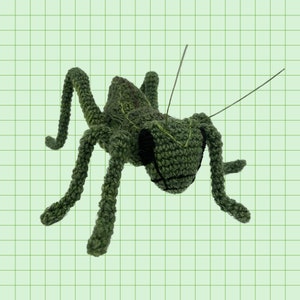Grasshopper Crochet Pattern - Etsy