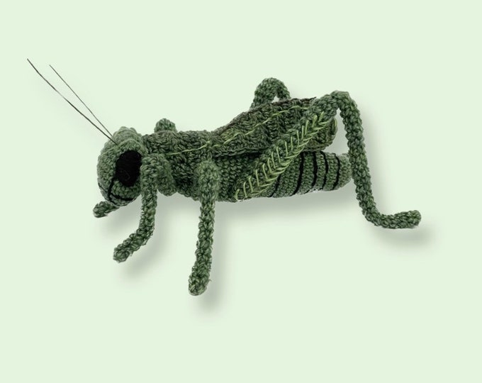 Grasshopper Amigurumi Crochet Pattern - Etsy Canada
