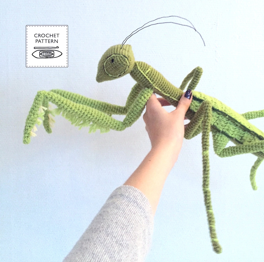 Praying Mantis Crochet Pattern - Etsy