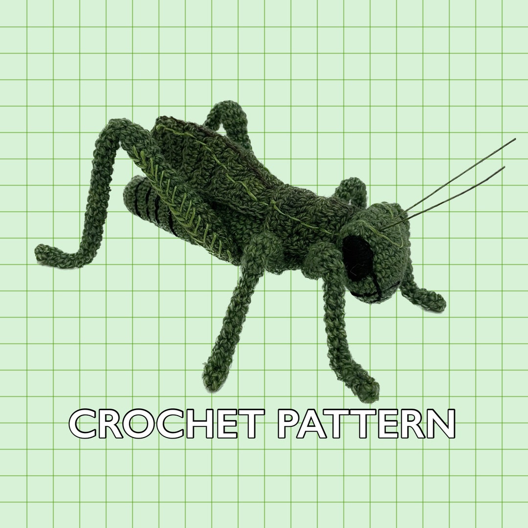 Grasshopper Crochet Pattern - Etsy