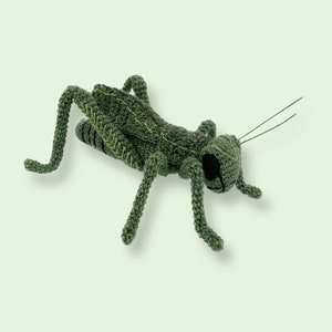 Grasshopper Crochet Pattern - Etsy