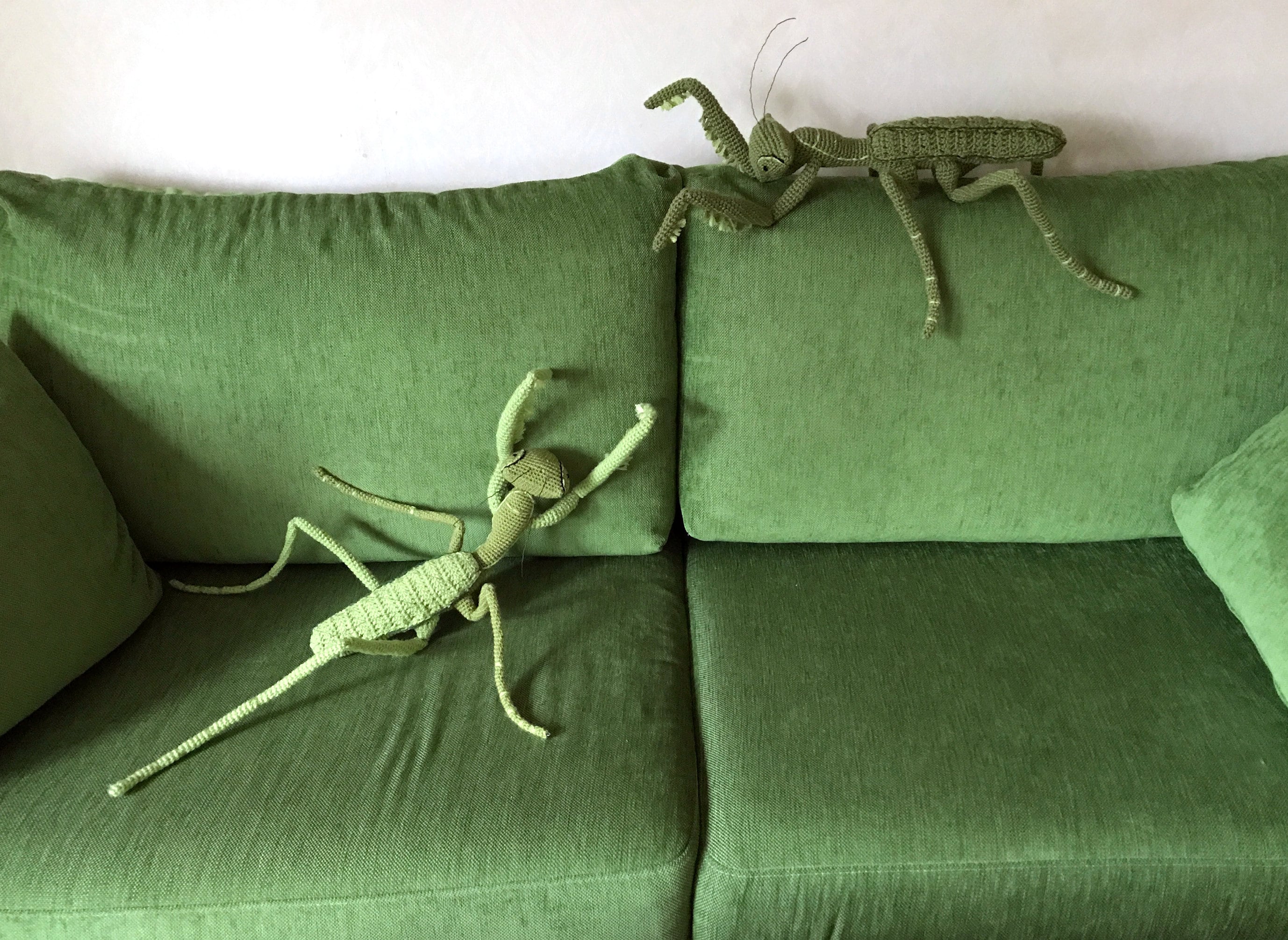 Praying Mantis Crochet Pattern - Etsy Australia