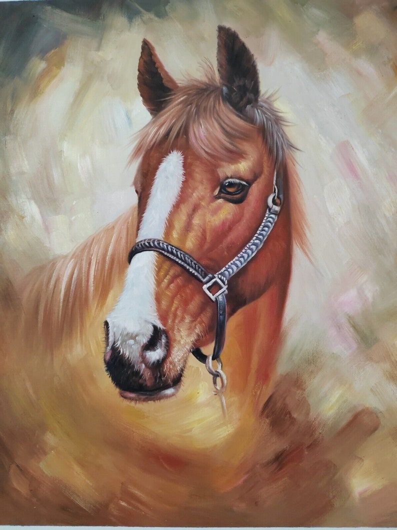 Horse Head Oil on Original Canvas - Etsy